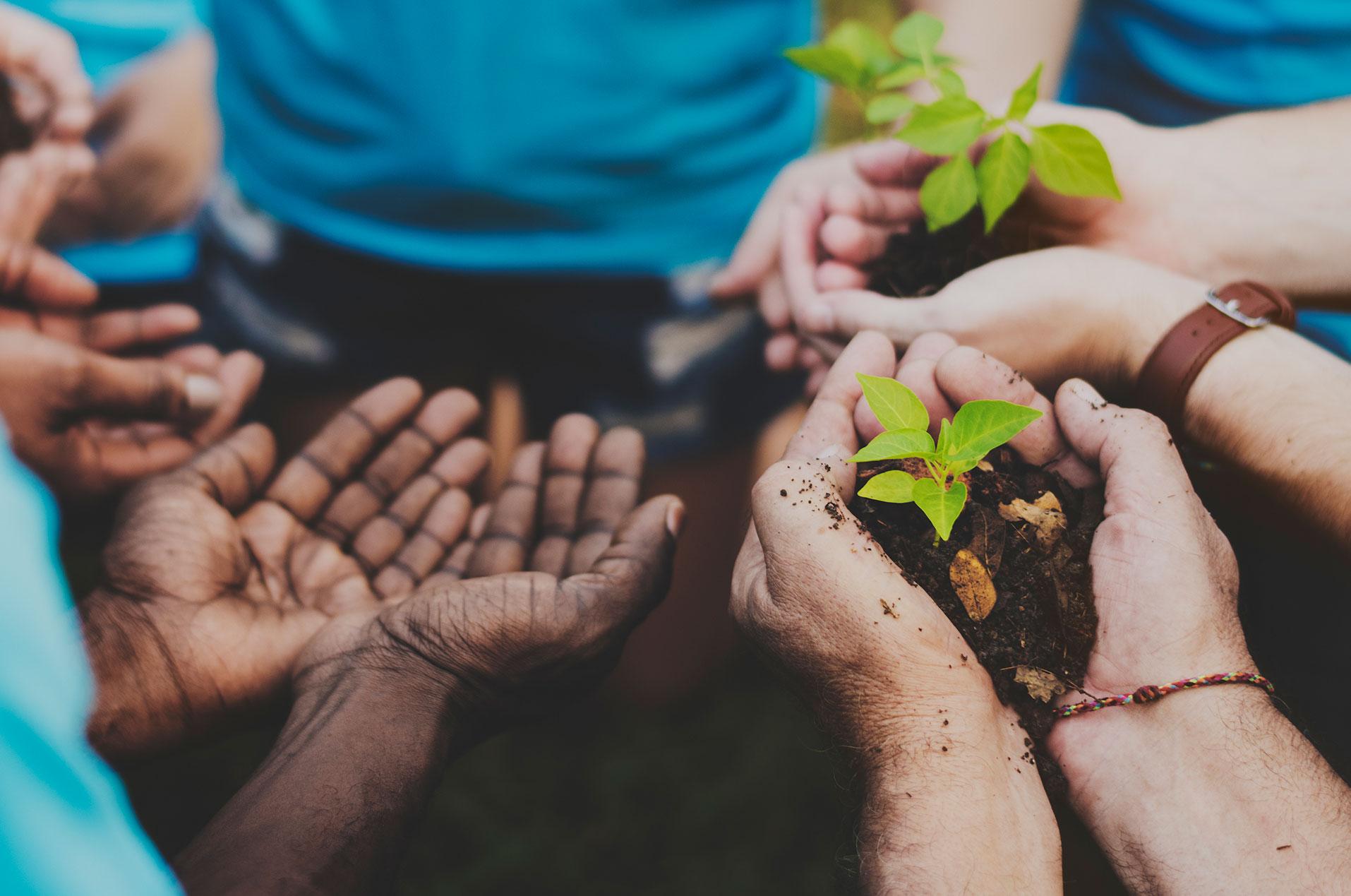 GRO Community Terms of Service